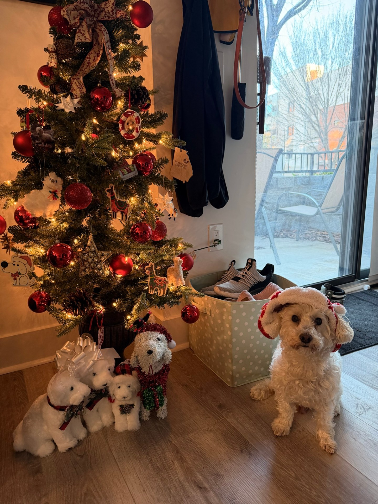 December 2025 Gratitude | Traveling with the Traceys